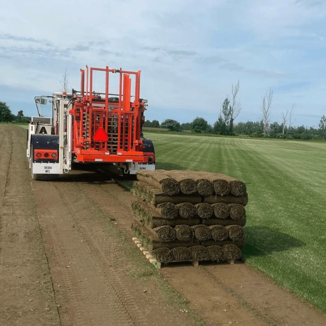 Milton Sod Installation – Burloak Sod & Mulch